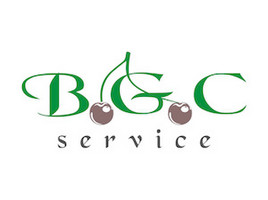 bgc service skelbimai - Skelbiu.lt